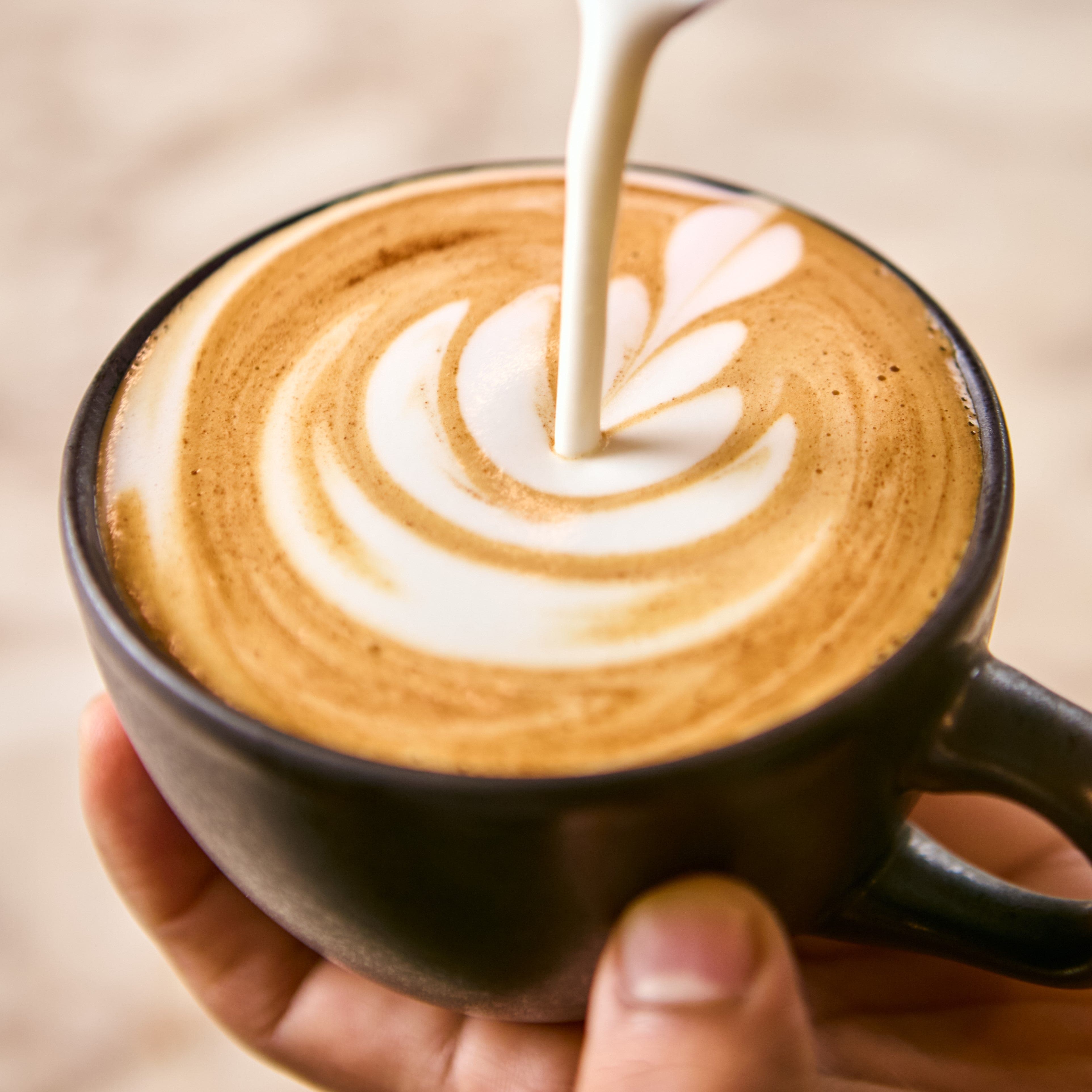 Pide aquí Delivery Armónica | Latte – CAFÉ SALUDABLE S.A.C.